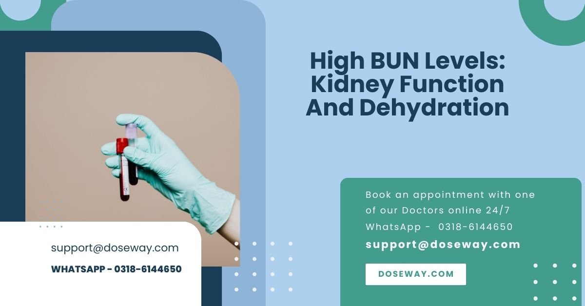 High BUN Levels: Kidney Function And Dehydration | Doseway