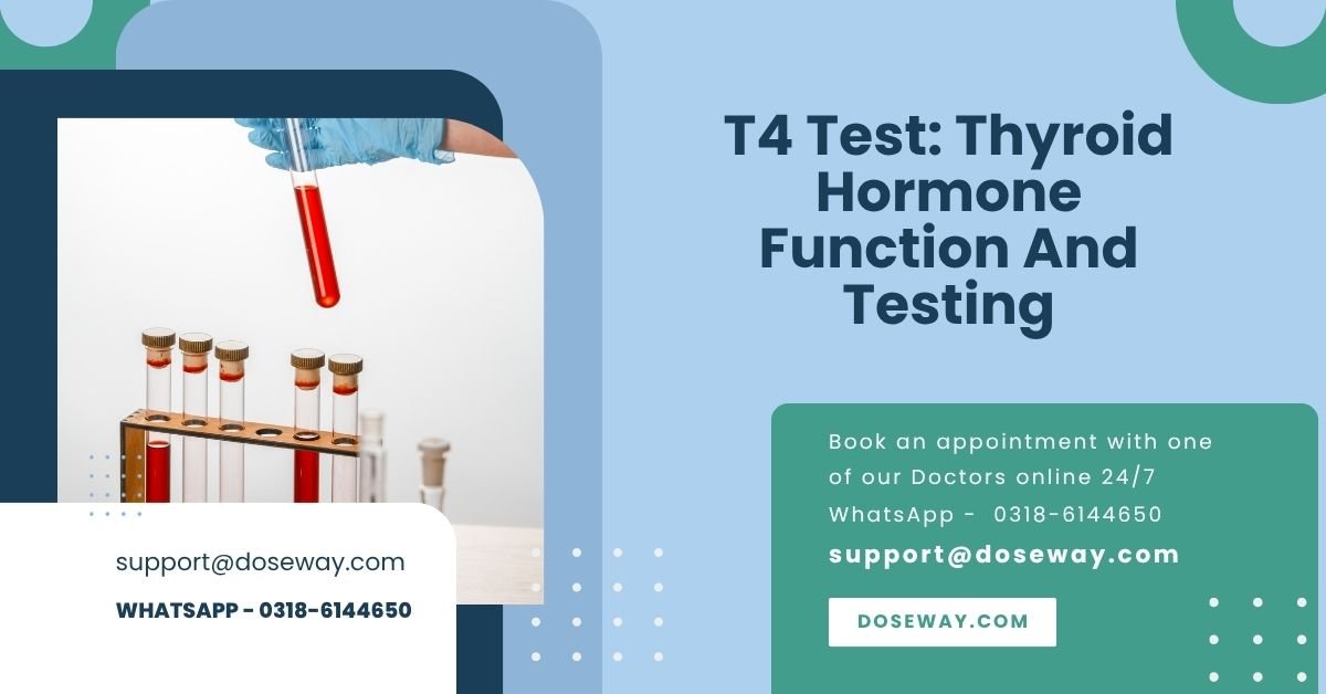 T4 Test: Thyroid Hormone Function And Testing | Doseway