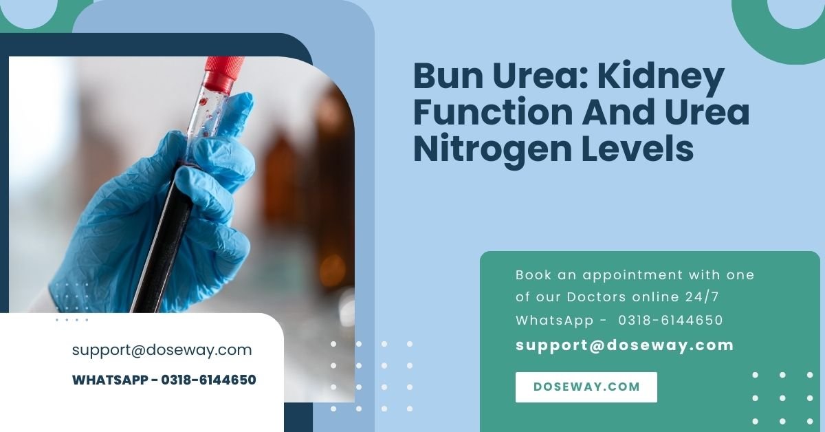 Bun Urea: Kidney Function And Urea Nitrogen Levels | Doseway