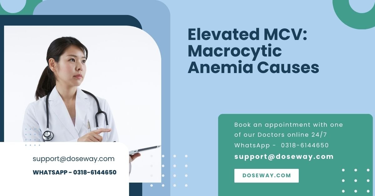 Elevated MCV: Macrocytic Anemia Causes | Doseway