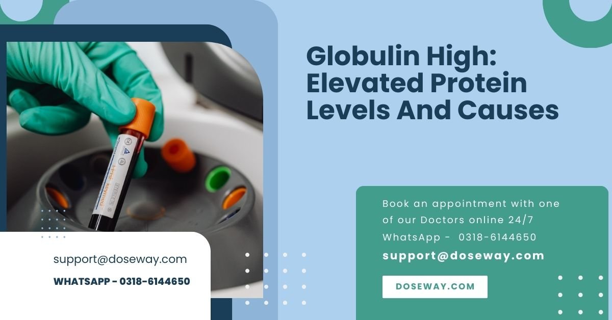 Globulin High: Elevated Protein Levels And Causes | Doseway